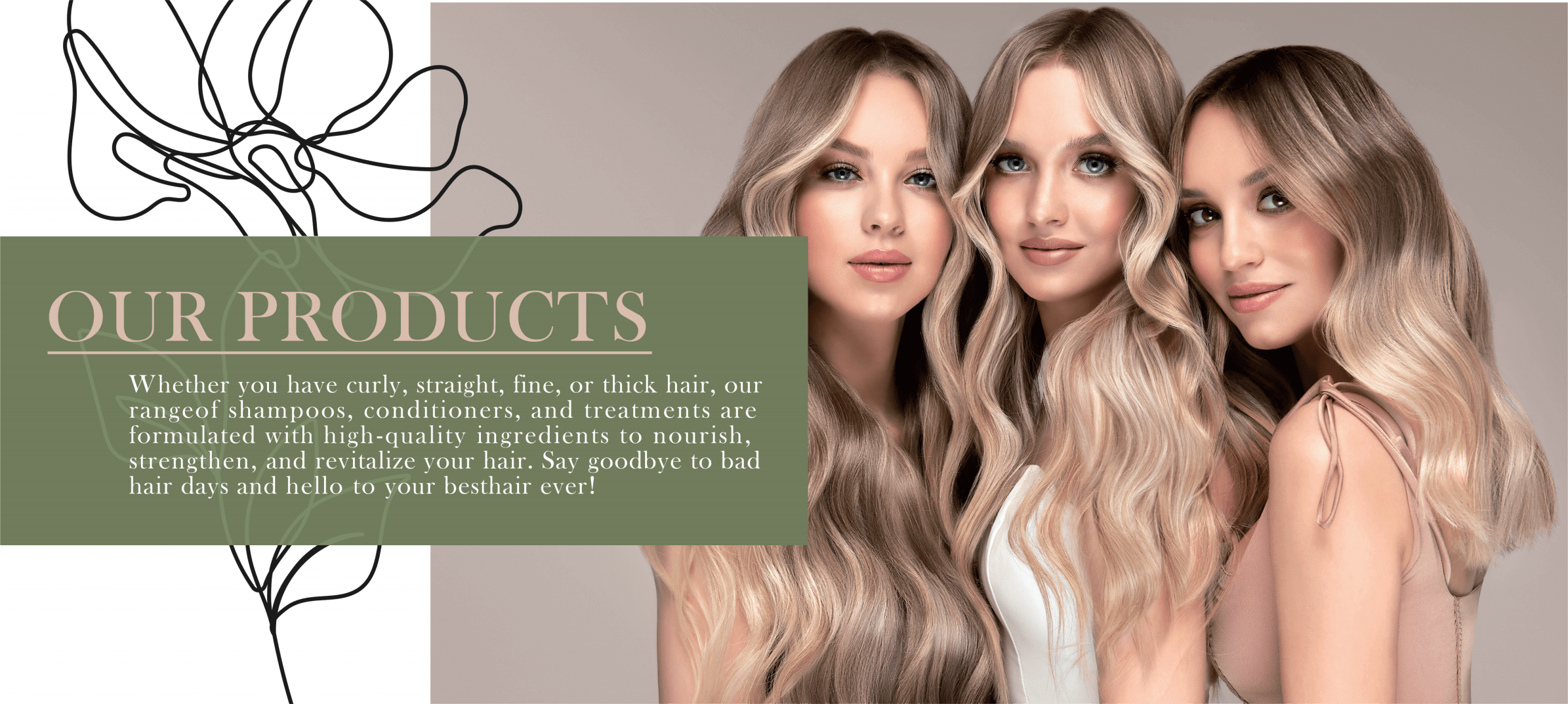 Hair Care Shampoo And Conditioner